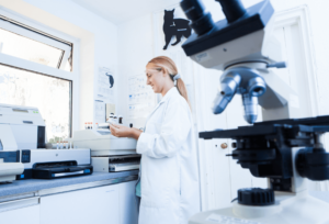 Pet Lab Testing Near Me 21557 - Hi-Rock Animal Hospital